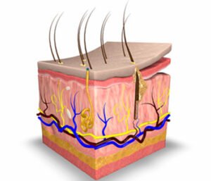 A pele